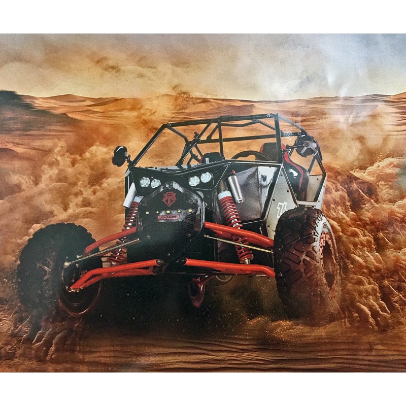 Renegade Rascal 300 Full suspension Buggy