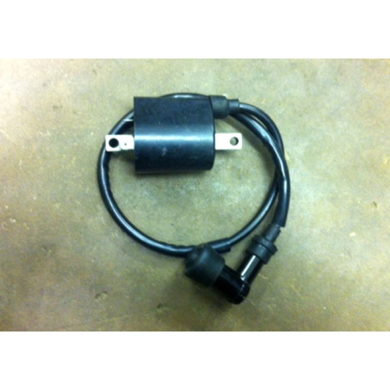 GS Moon (FAZ) - Coil uprated 250cc road legal